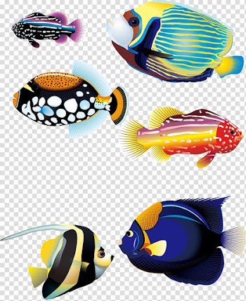 Free: Colorful Tropical Fish Watercolor Clipart - nohat.cc