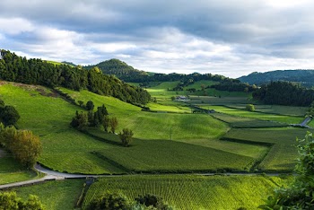 Free: Expansive Green Grass Field - nohat.cc