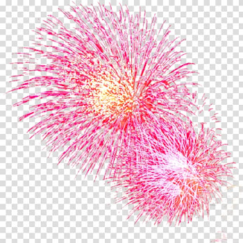 Free: Fireworks Clip art - Fireworks PNG Clip Art - nohat.cc