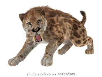 Shutterstock - Top vector, png, psd files on Nohat.cc