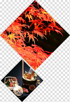 Free: Wakura Onsen Mercedes-Benz Kagaya Nature Coast, mercedes benz ...