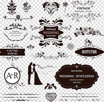 Vintage pattern scroll decorative frame transparent background - top ...