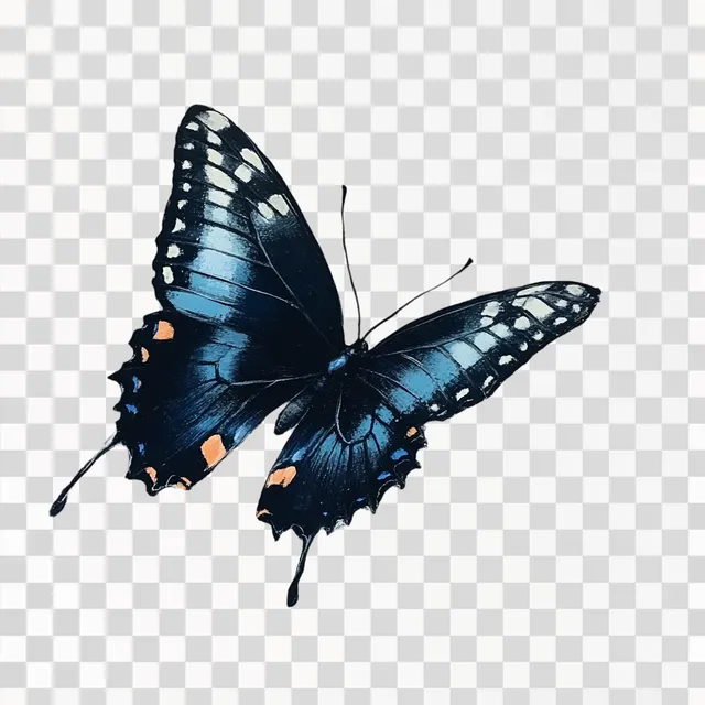 Free: Blue and Black Butterfly in Flight: Side View - nohat.cc