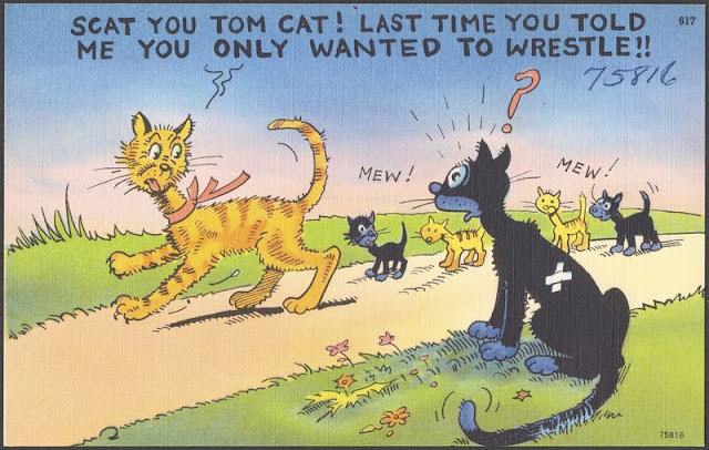 Free: | Free Photo - rawpixel - nohat.cc