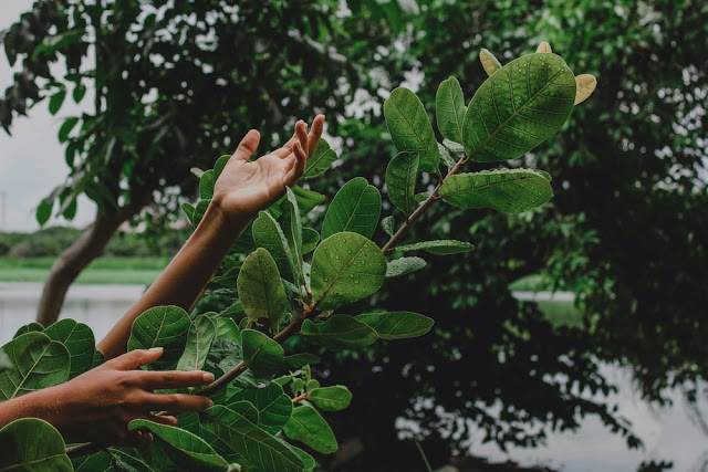 Free: Hands Lifting Up - nohat.cc