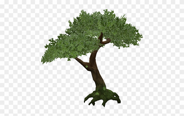 Free: Jungle Tree Png Transparent - Jungle Tree Png - nohat.cc