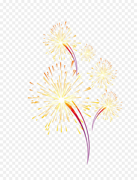 Free: Petal Text Illustration - Fireworks fireworks - nohat.cc