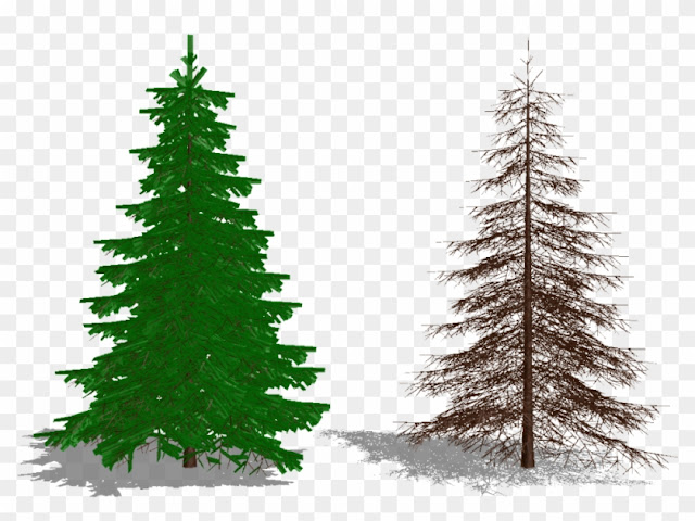 Free: Xmas Tree Type 02 By Arisumatio - Mmd Christmas Tree - nohat.cc